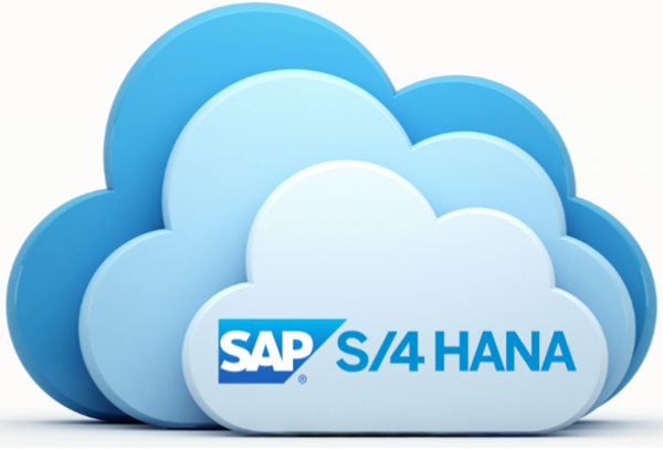 SAP Brings Built In Support To SAP S 4HANA Cloud SAP Brings Built In Support To SAP S 4HANA Cloud
